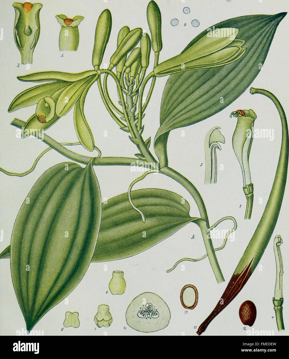 Nature neighbors, embracing birds, plants, animals, minerals, in ...