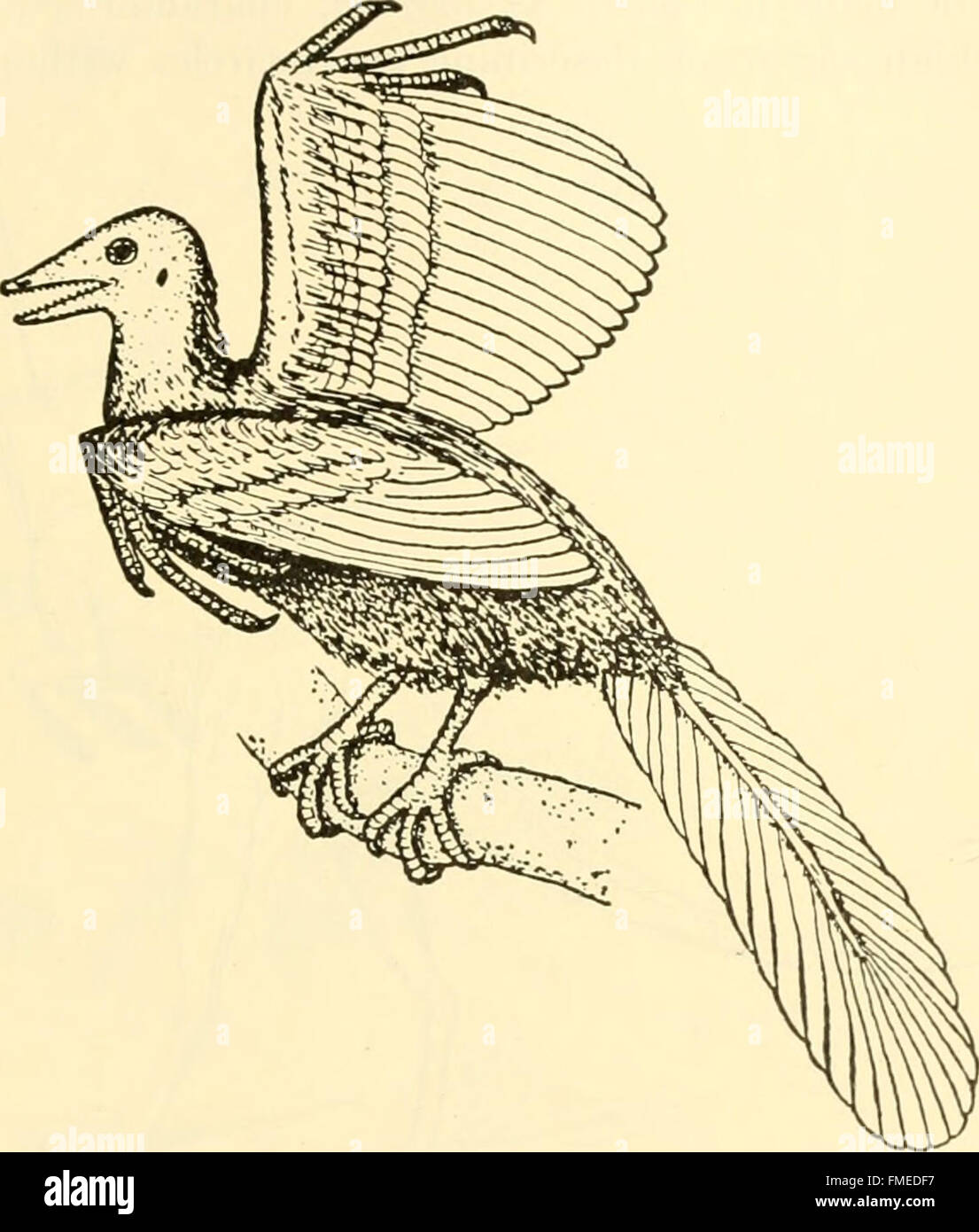 'Animal Biology' (1933) is a comprehensive textbook that covers the ...