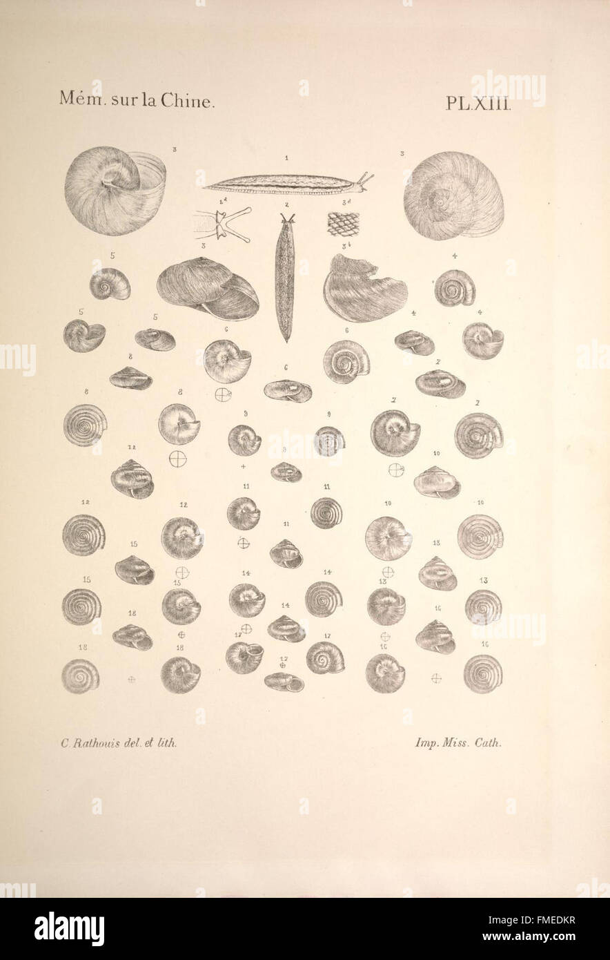 Fleuve yangtze hi-res stock photography and images - Alamy