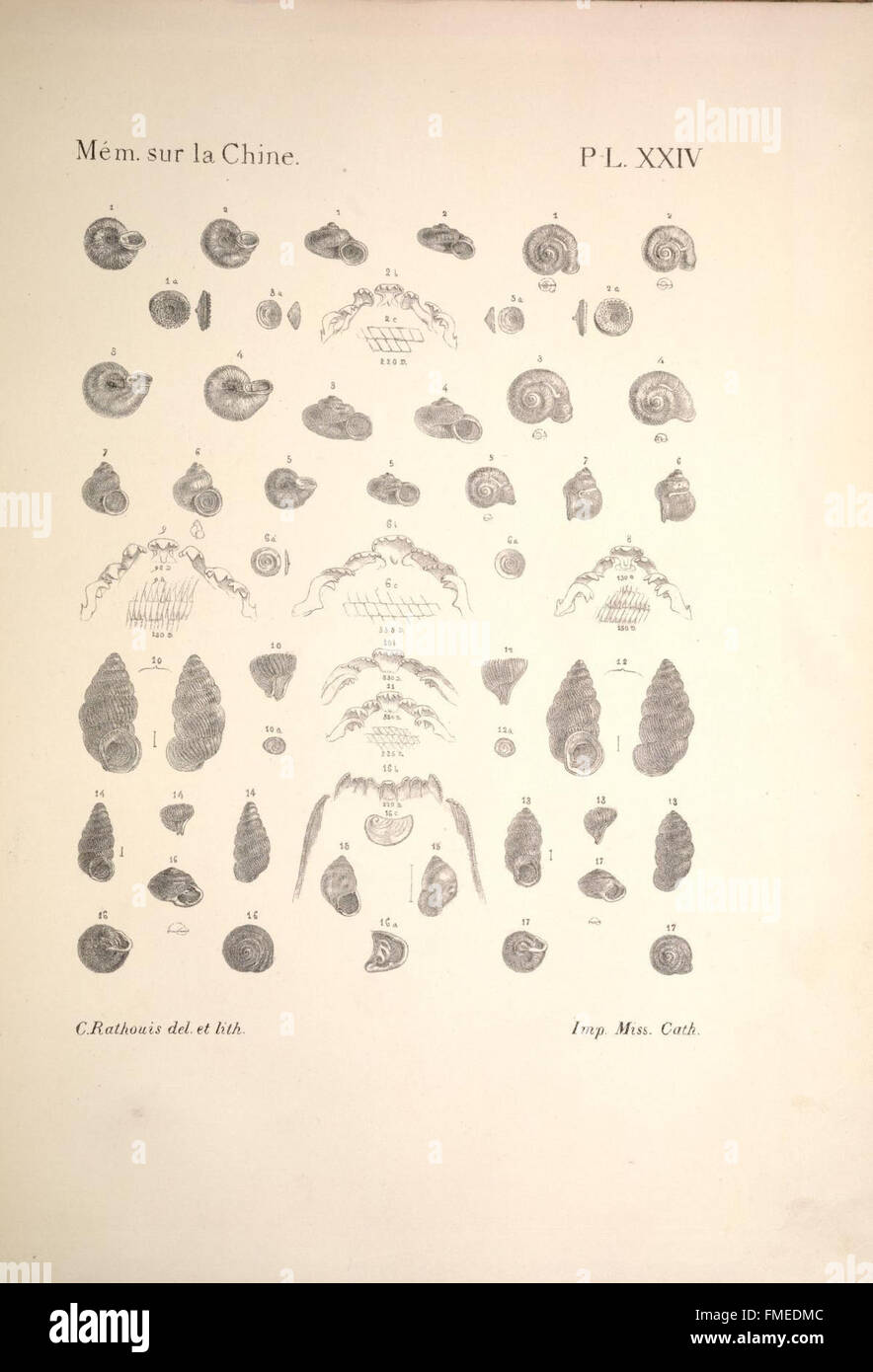 Fleuve yangtze hi-res stock photography and images - Alamy