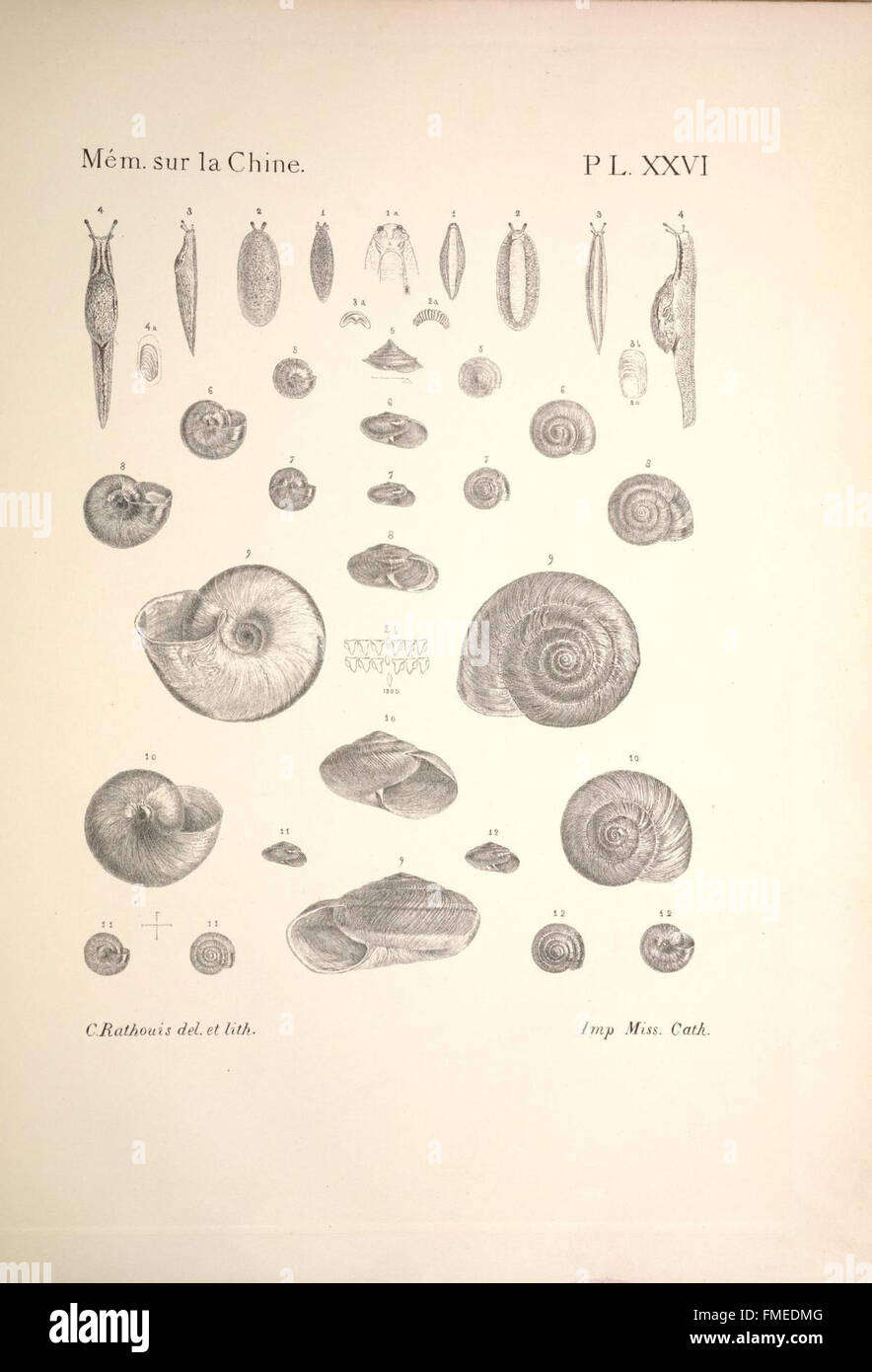 Fleuve yangtze hi-res stock photography and images - Alamy