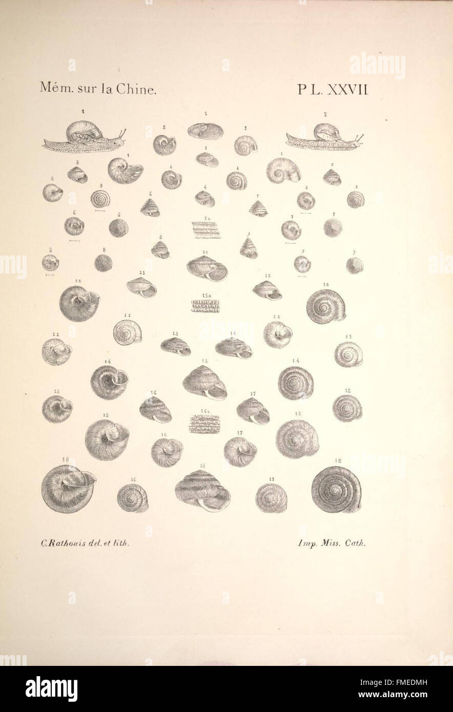 Fleuve yangtze hi-res stock photography and images - Alamy