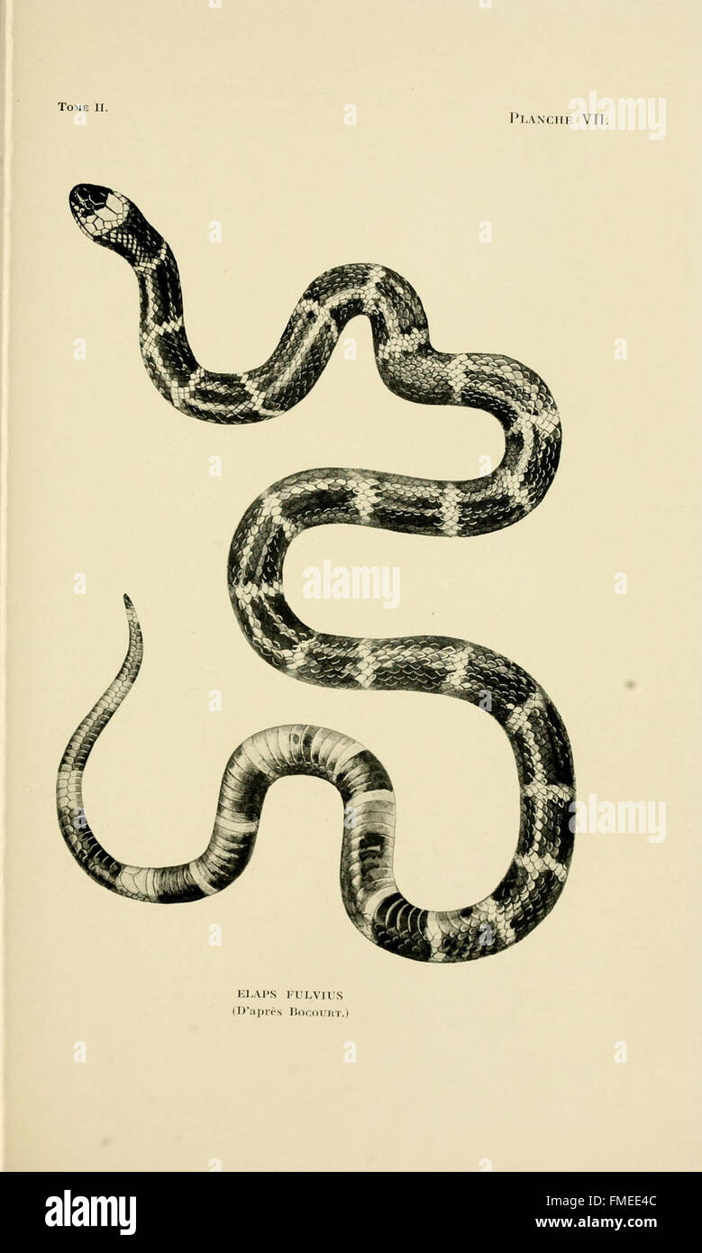 This plate discusses venomous animals and the role of venom across ...