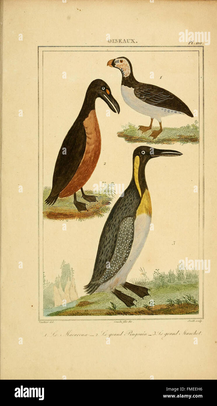'Oeuvres completes de Buffon (Pl. 110)' showcases a plate from Buffon's ...