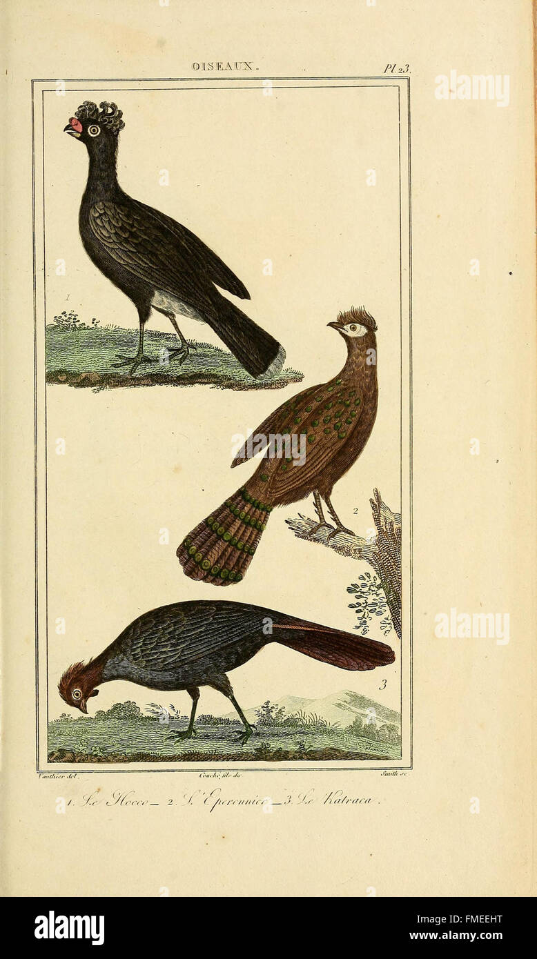 'Oeuvres Complètes de Buffon' (Pl. 25) is a collection of works by ...