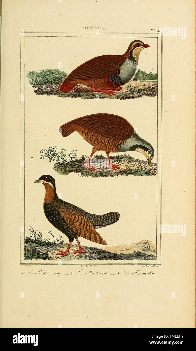 *Oeuvres Complètes de Buffon* (Plate 27) is part of Buffon's complete ...