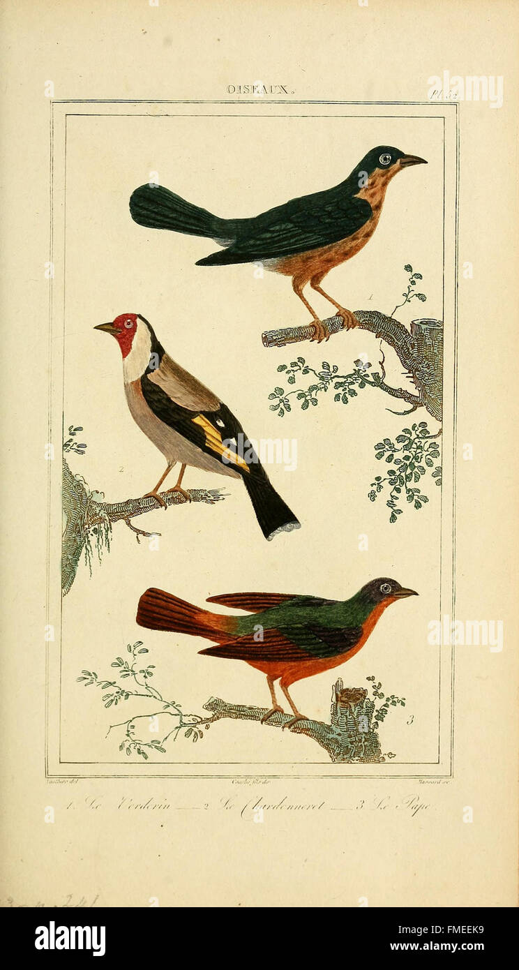 'Oeuvres Complètes de Buffon' (Pl. 53) includes works by naturalist ...