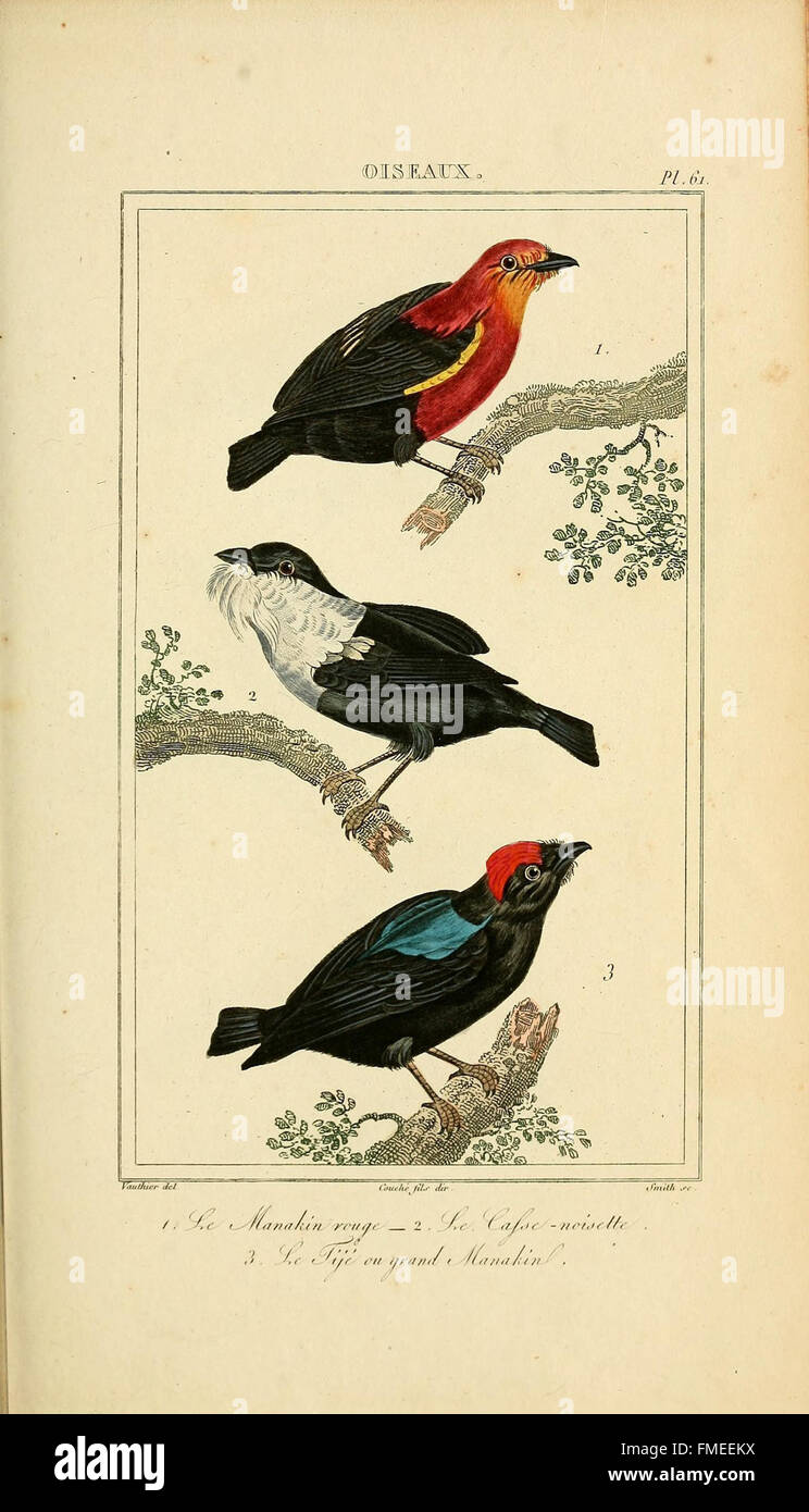 'Oeuvres Complètes de Buffon' (Pl. 62) presents works by the French ...