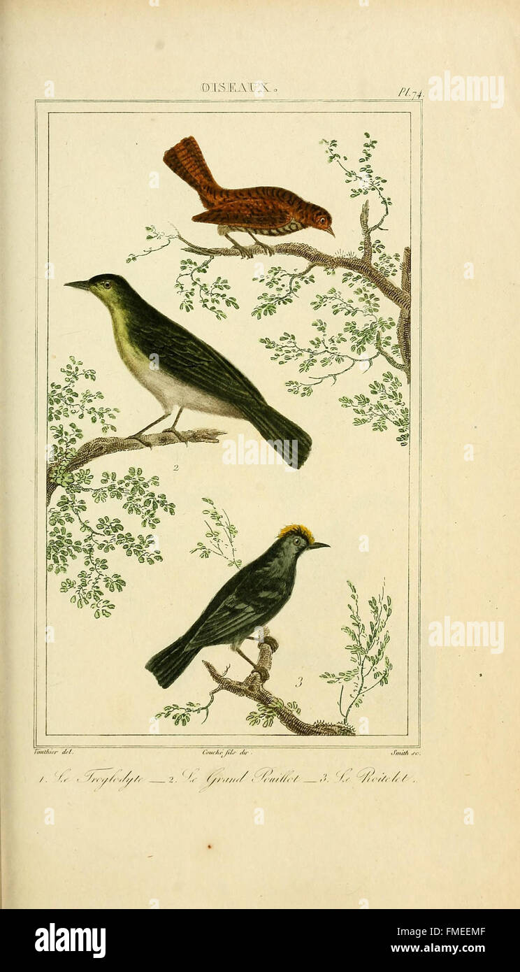 Plate 75 from the *Complete Works of Buffon* features a detailed ...