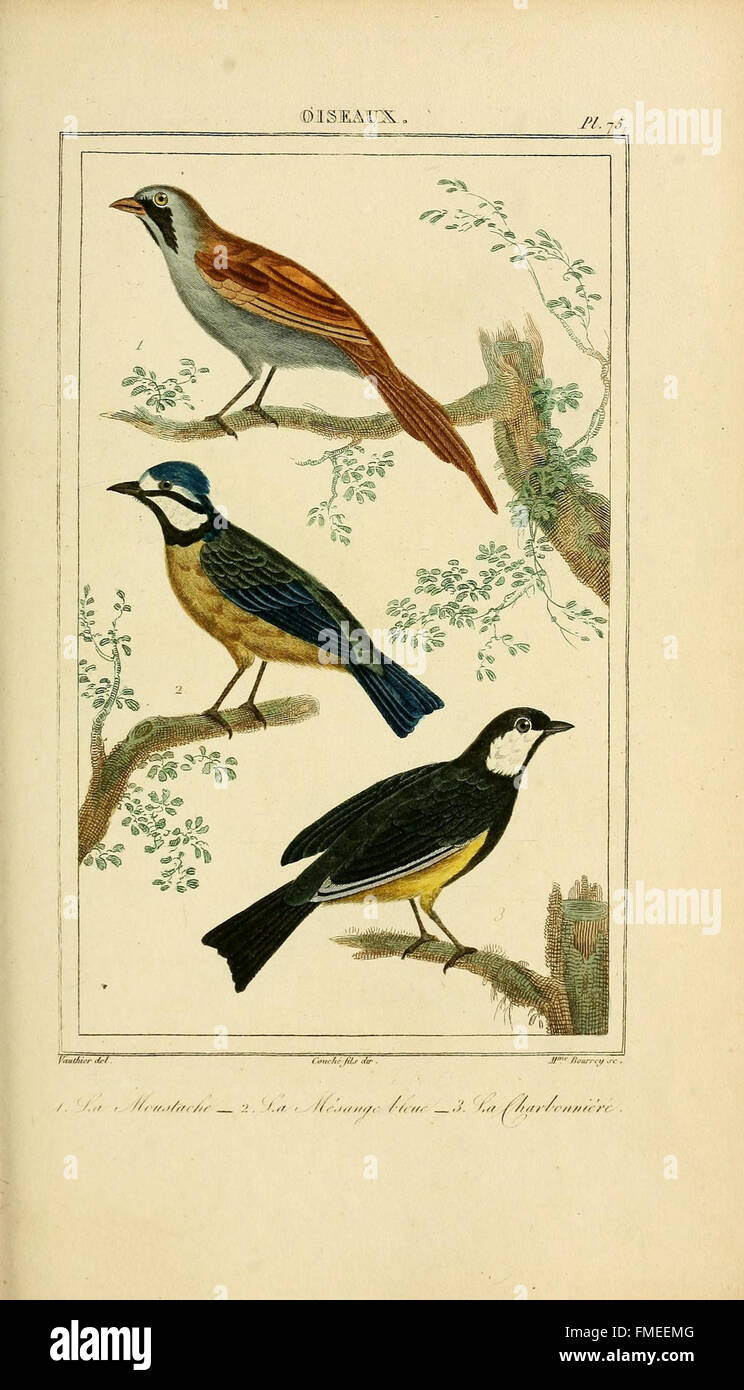Plate 76 from 'Oeuvres Completes de Buffon' features a scientific ...