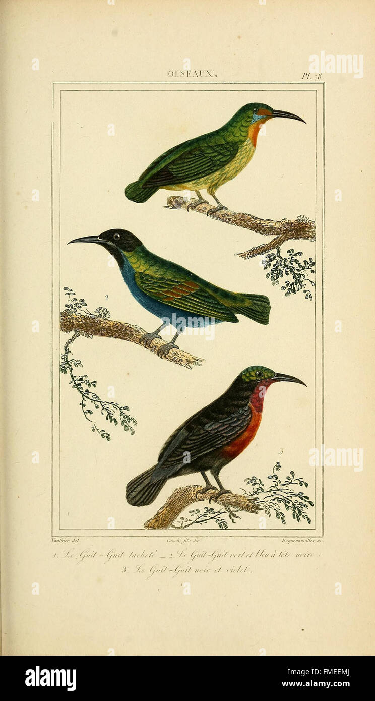 'Oeuvres Completes de Buffon' (Plate 79) is a collection of works by ...