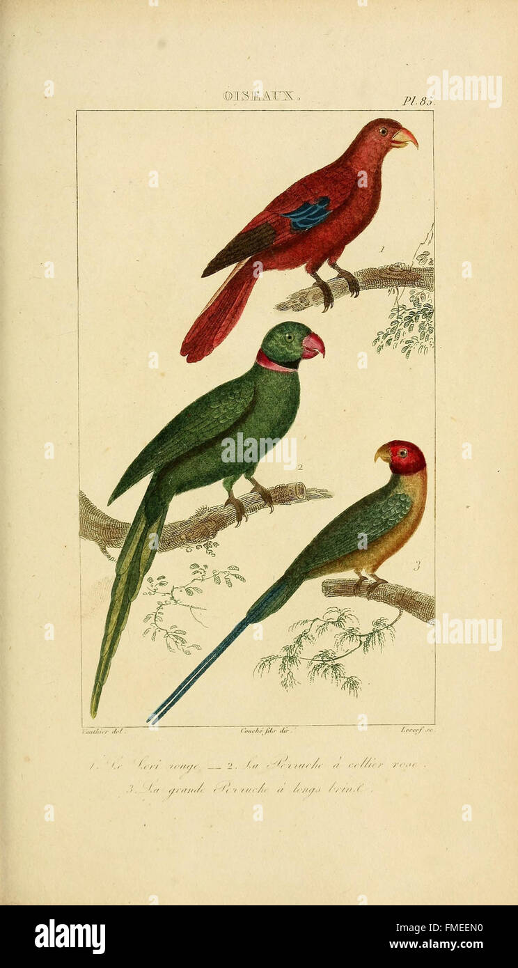 Plate 85 of Buffon's 'Oeuvres Completes' illustrates a range of animal ...