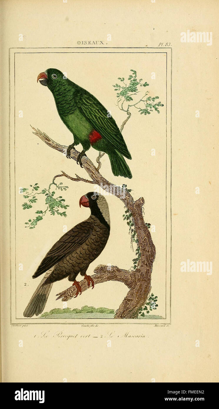 This plate from Buffon's complete works presents an illustration of a ...