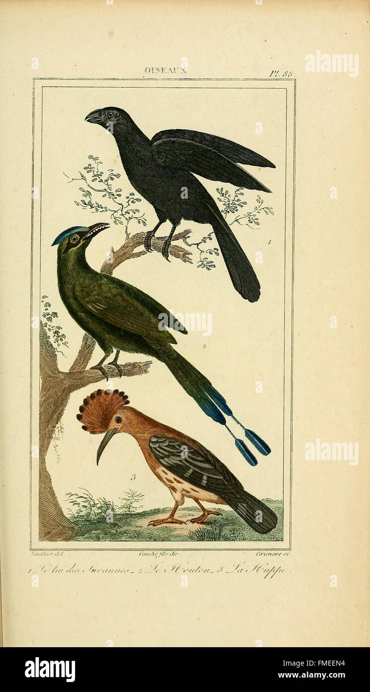 Oeuvres completes de Buffon (Pl. 88 Stock Photo - Alamy