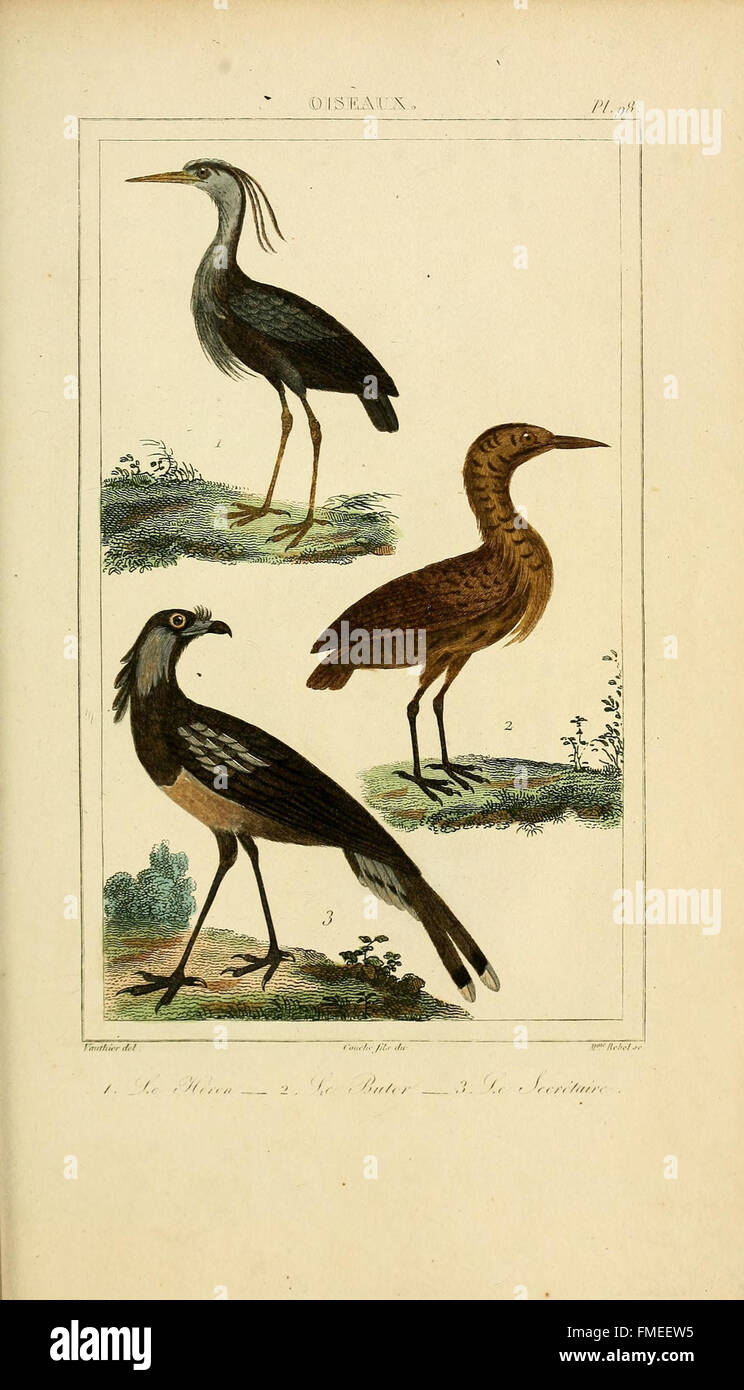 Plate 98 from 'Oeuvres completes de Buffon' showcases a detailed ...