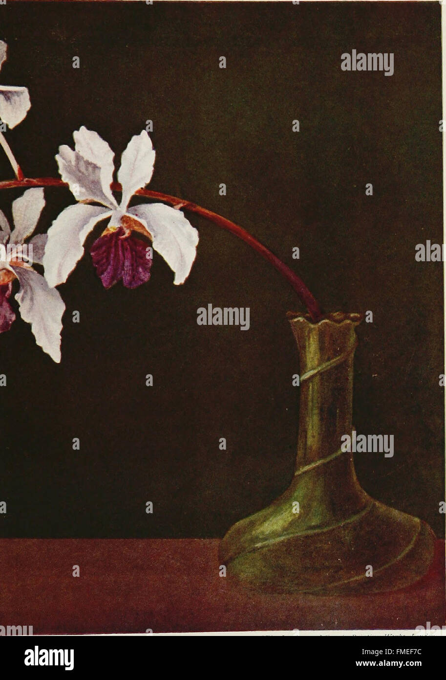 'Orchids - Their Culture and Management' (1903) provides an in-depth ...