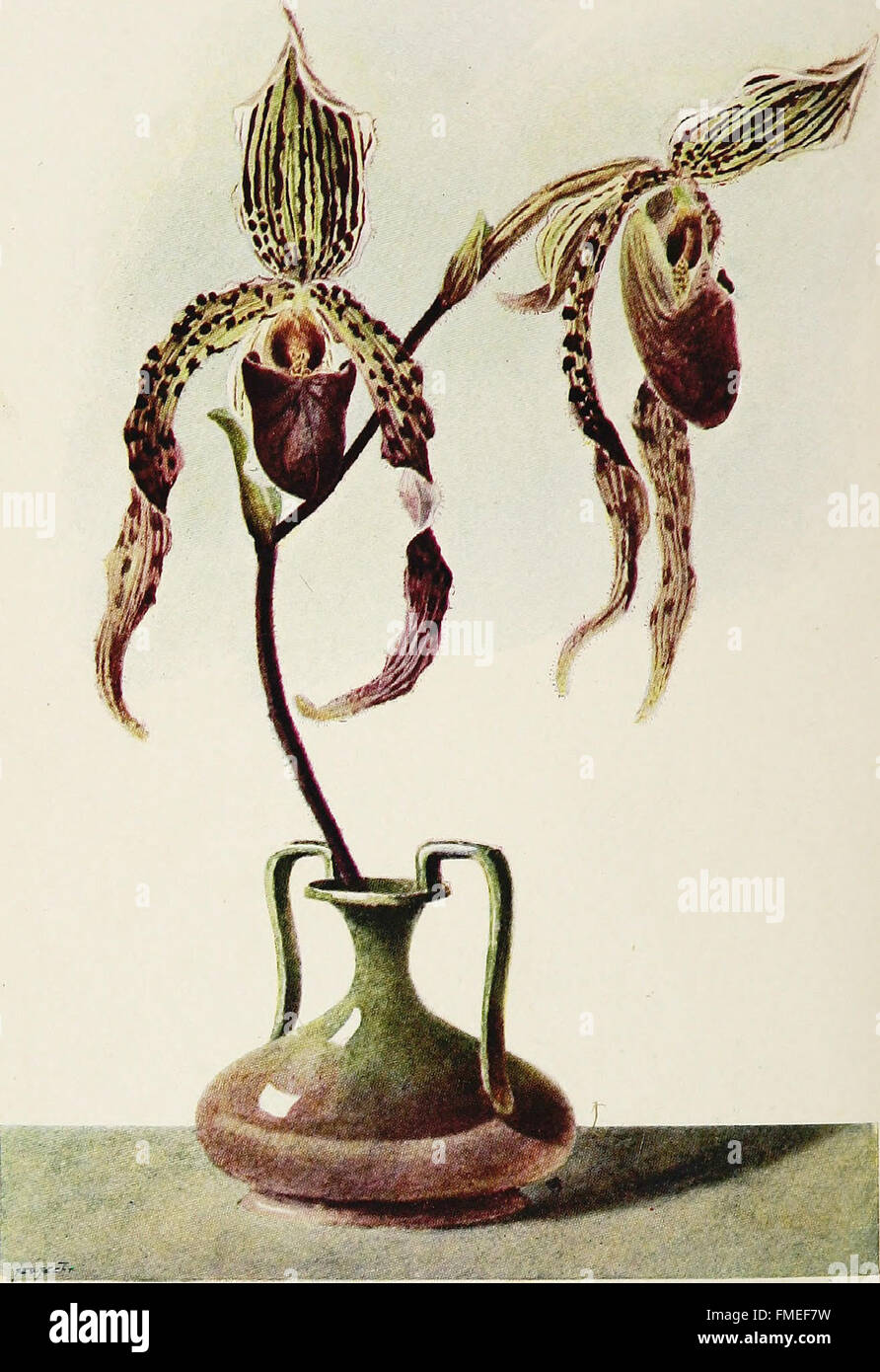 'Orchids- Their Culture and Management' (1903) is a guide to the ...