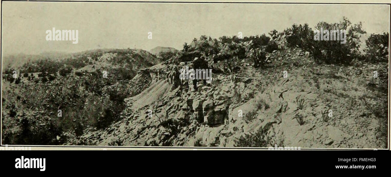 This 1903 study on the osteology of Haplocanthosaurus presents a ...