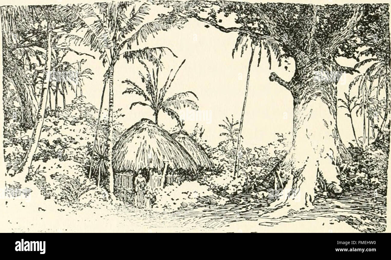 Pacific Shores from Panama (1913) explores the coastal environments and ...
