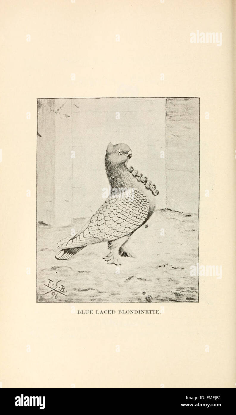 Page 166 of 'Pigeons and All About Them' covers various aspects of ...