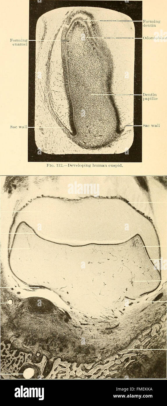 'Principles and Practice of Operative Dentistry' provides comprehensive ...