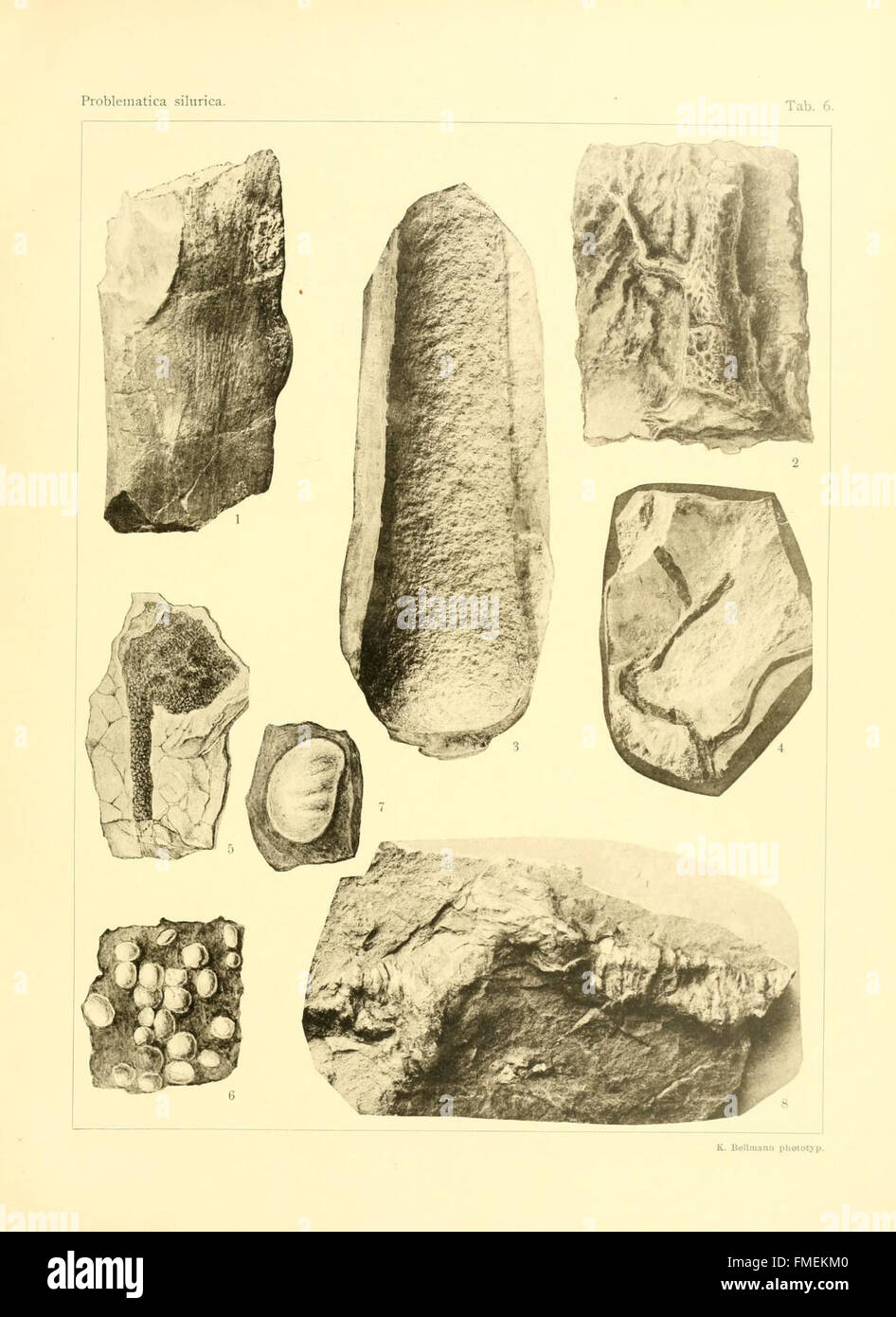 Plate 6 from 'Problematica Silurica' focuses on the study of Silurian ...