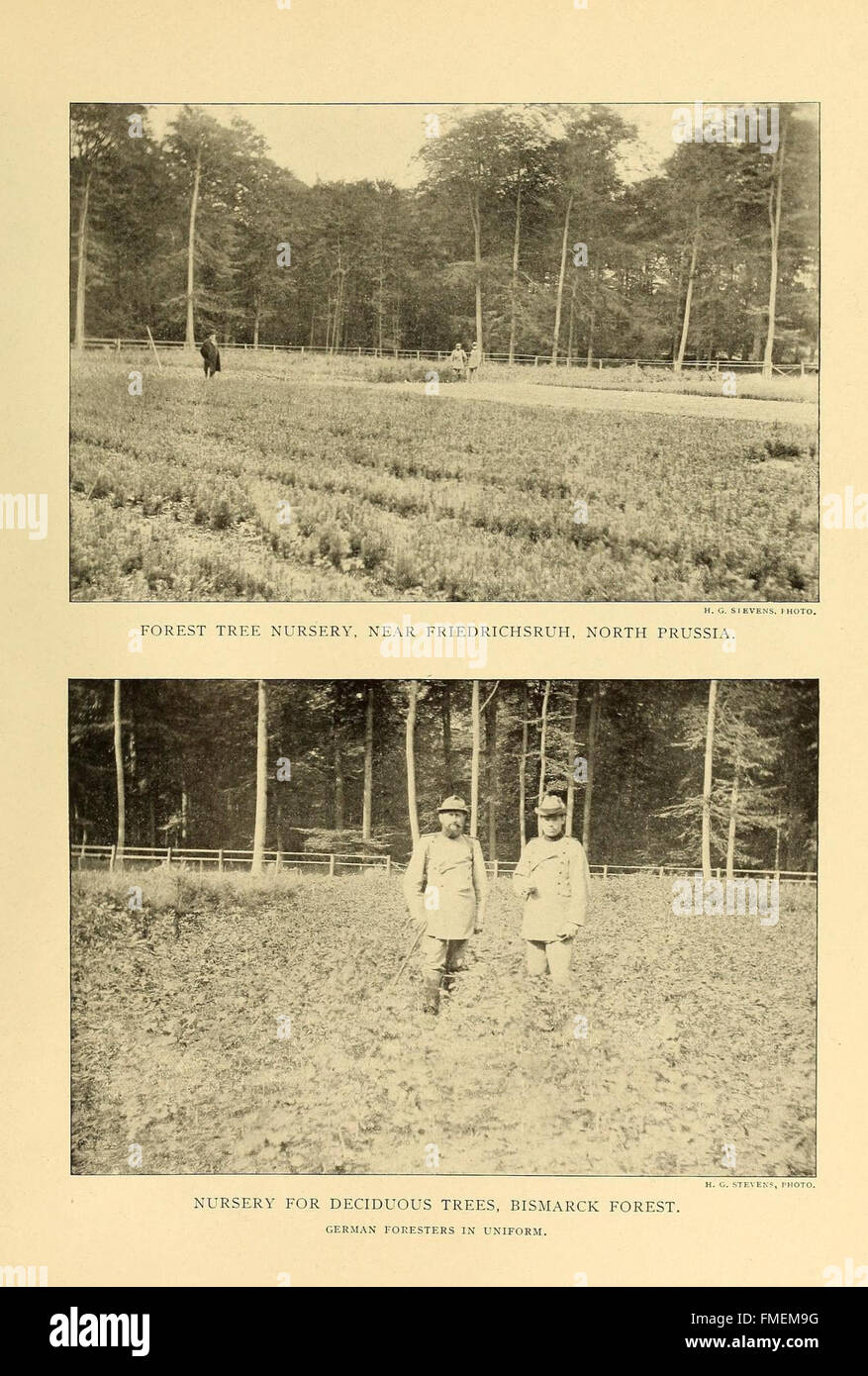 The 'Annual Report' provides a comprehensive summary of an organization ...