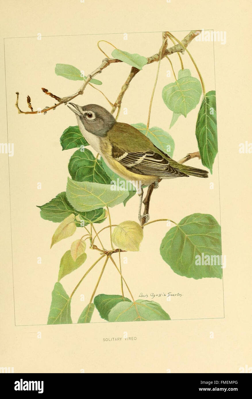 The Annual Report provides a comprehensive summary of an organization’s ...