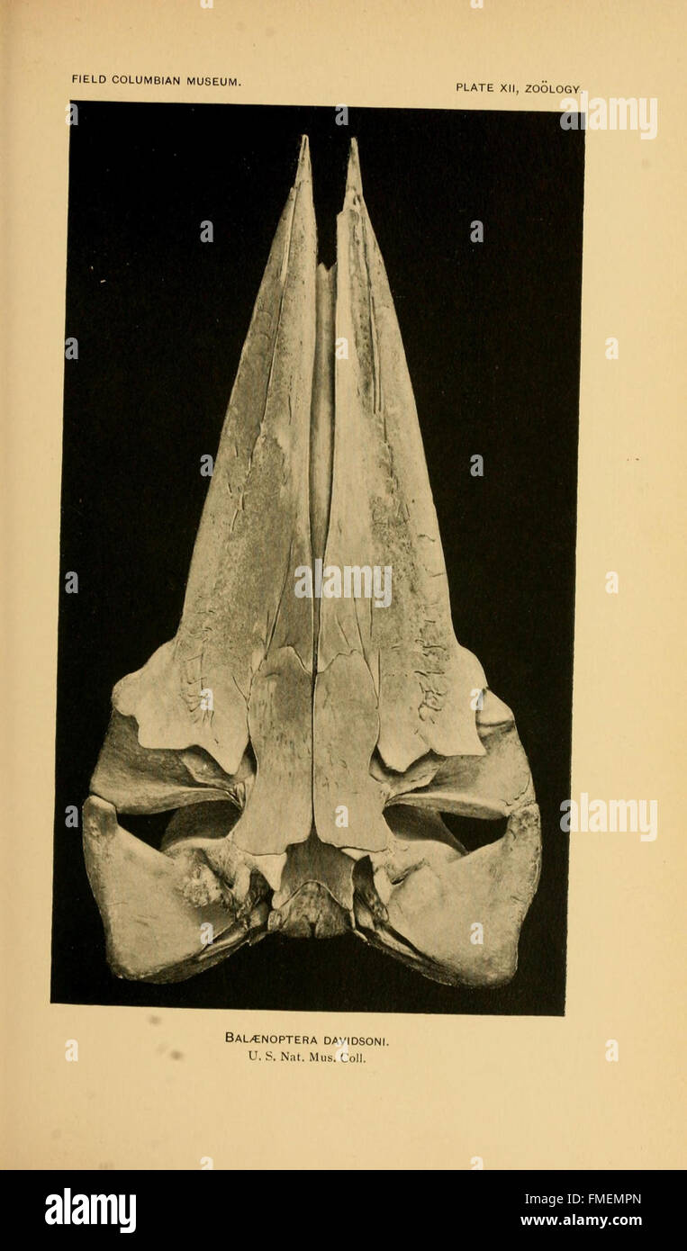 Plate XII from 'Publication' features illustrations and descriptions ...