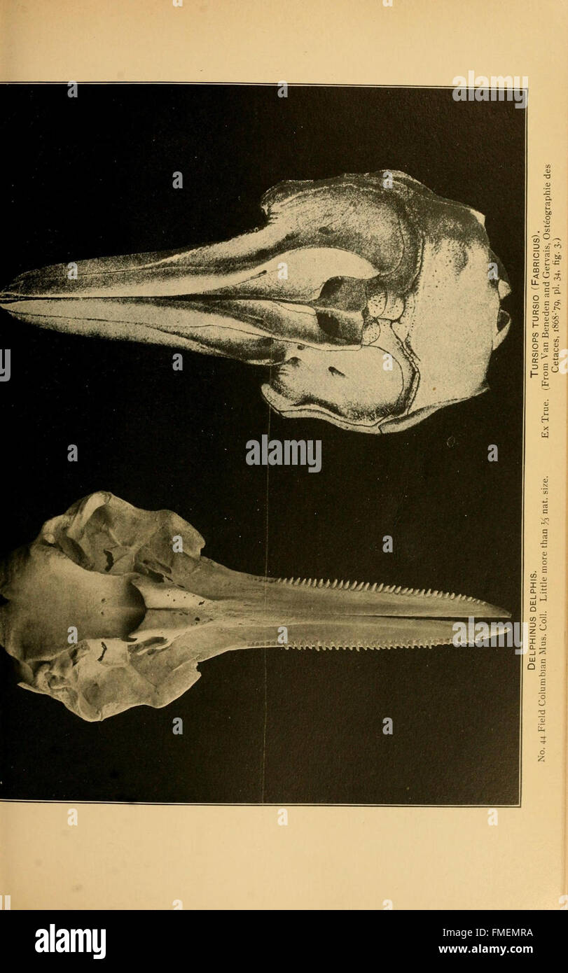 Plate XXIV from a scholarly publication presents a range of scientific ...