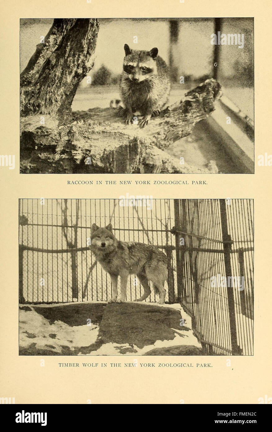 The annual report provides a comprehensive summary of activities ...