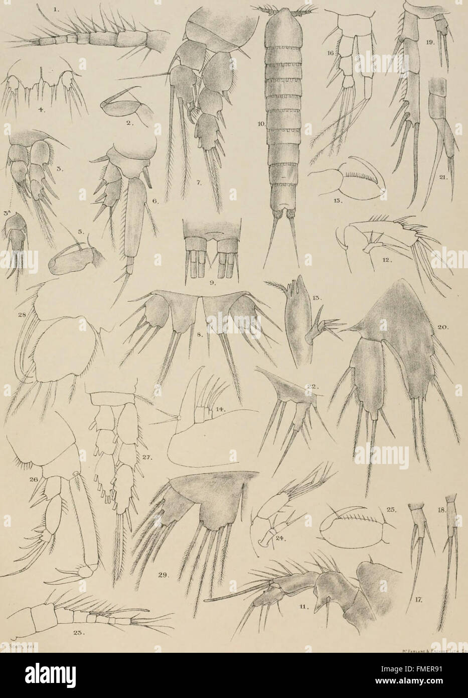 The report of the scientific results from the voyage of S.Y. Scotia ...