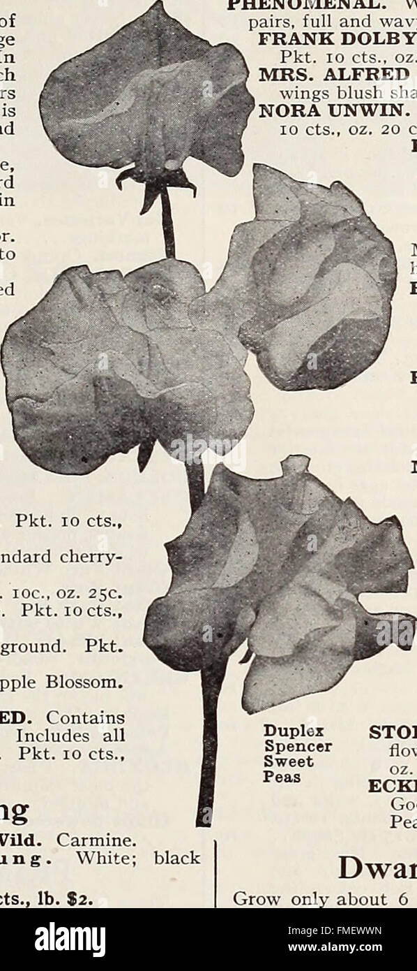 The 1913 catalog of Stokes' Standard Seeds features a variety of seeds ...