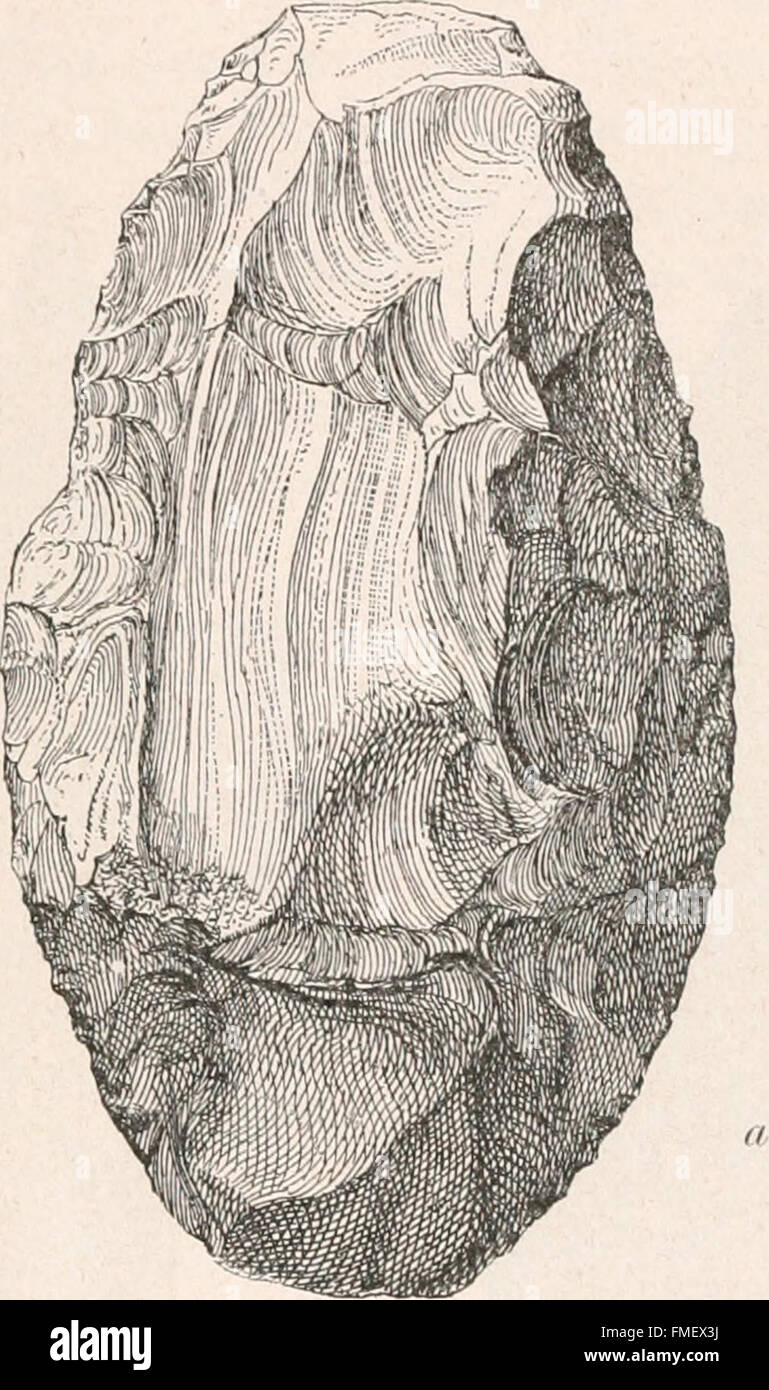This Swedish work, published in 1878, attempts to present the results ...