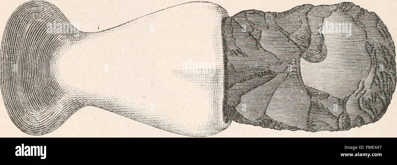 This 1878 work, 'Sveriges forntid', explores Swedish prehistoric ...