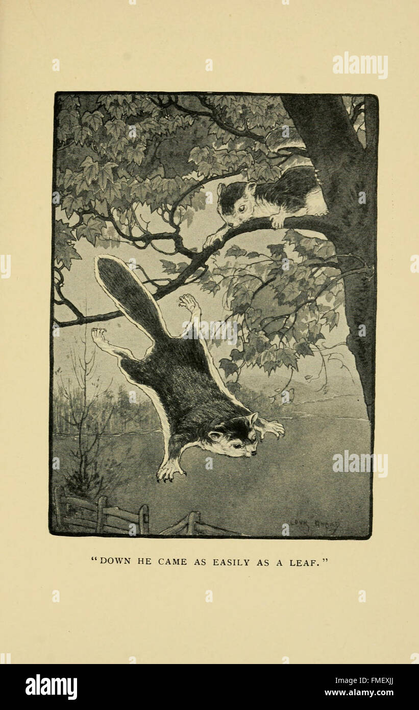 Plate 7 from 'Tenants of the Trees' showcases various animals and ...