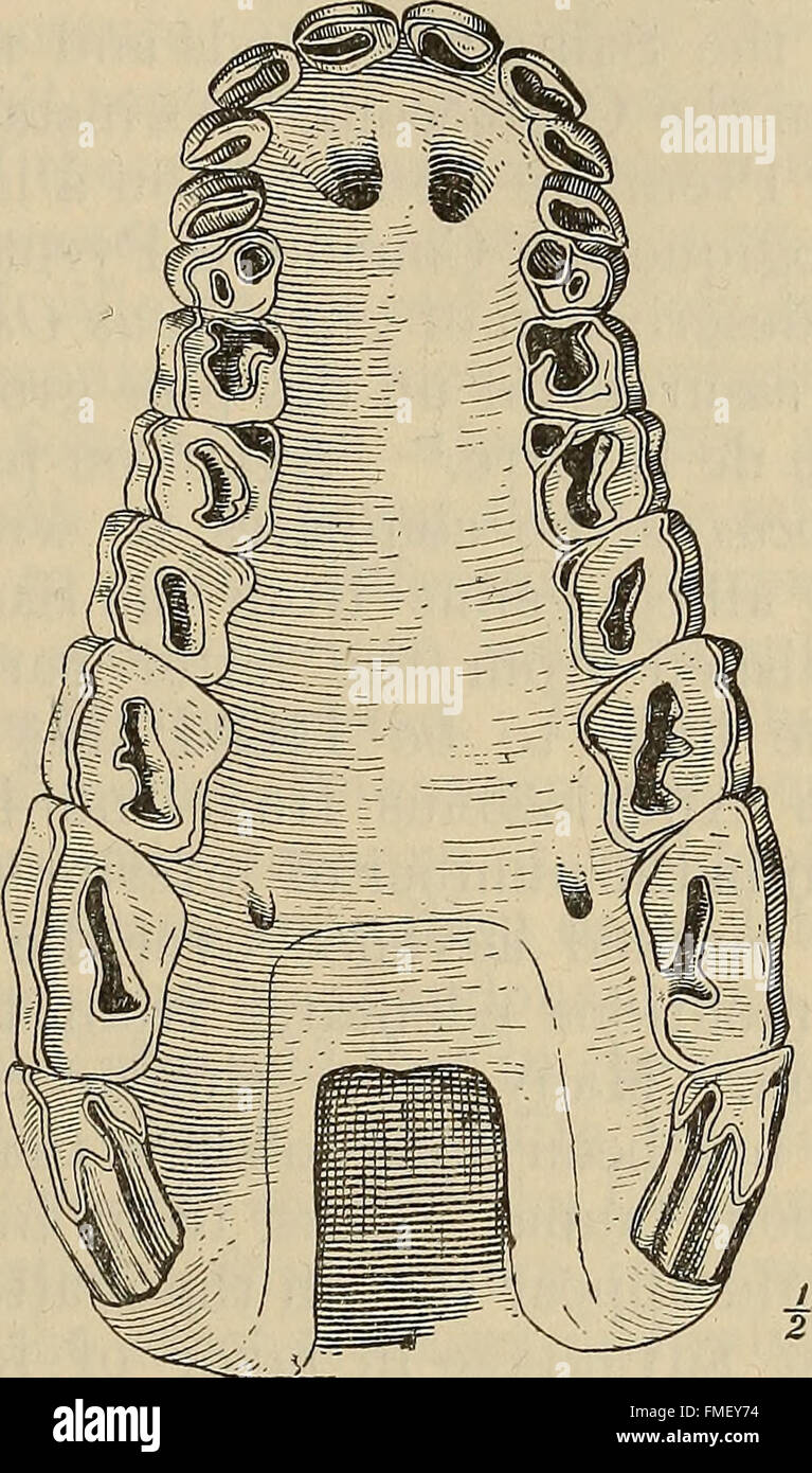 1897 journal hi-res stock photography and images - Alamy