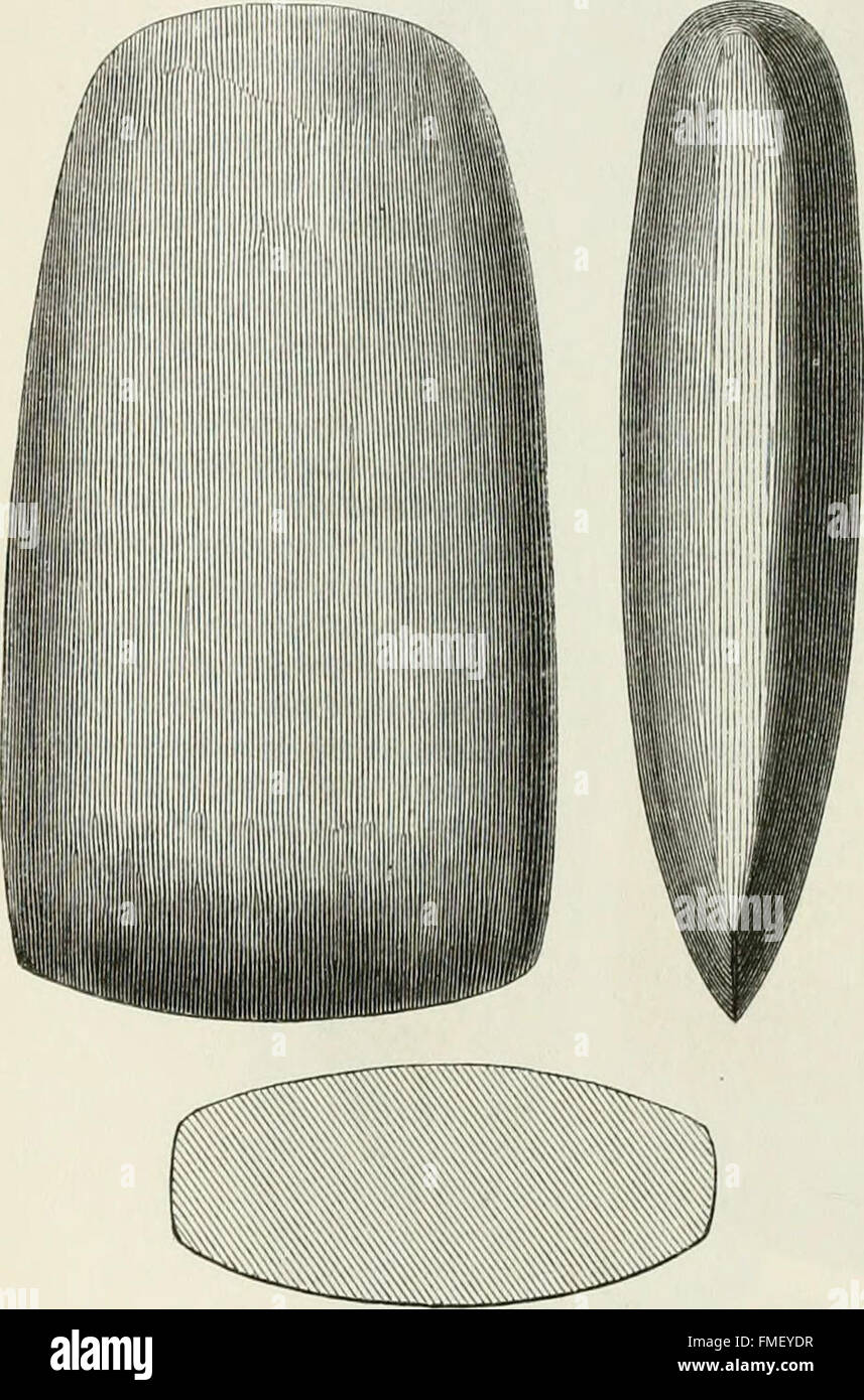 'The Ancient Stone Implements, Weapons, and Ornaments of Great Britain ...