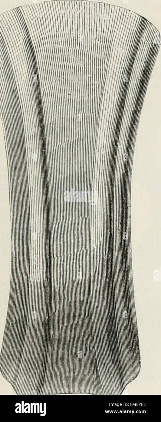 Stone age tools by period hi-res stock photography and images - Alamy