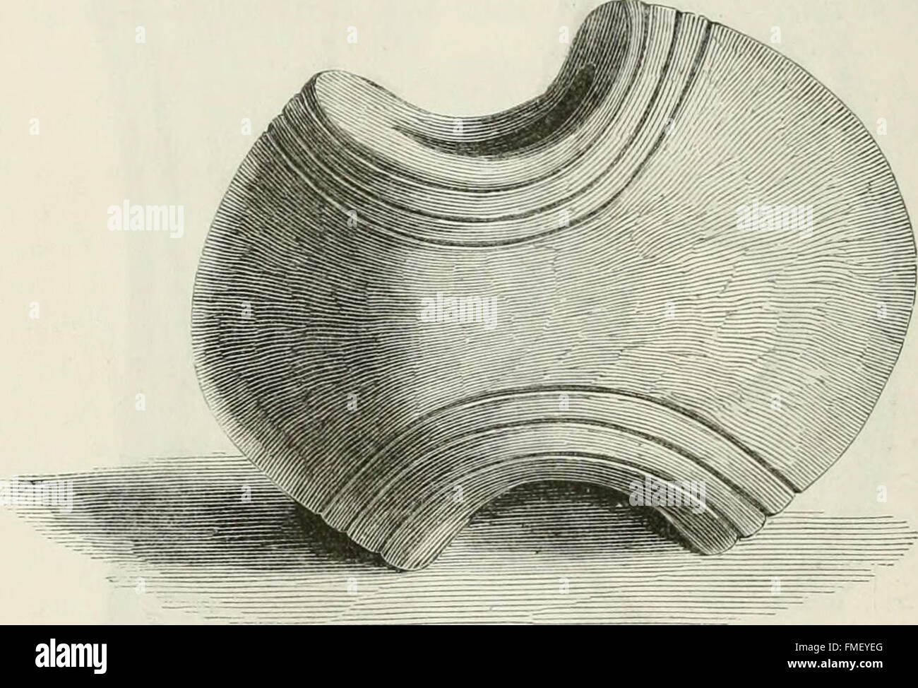 Study explores ancient stone hi-res stock photography and images - Alamy