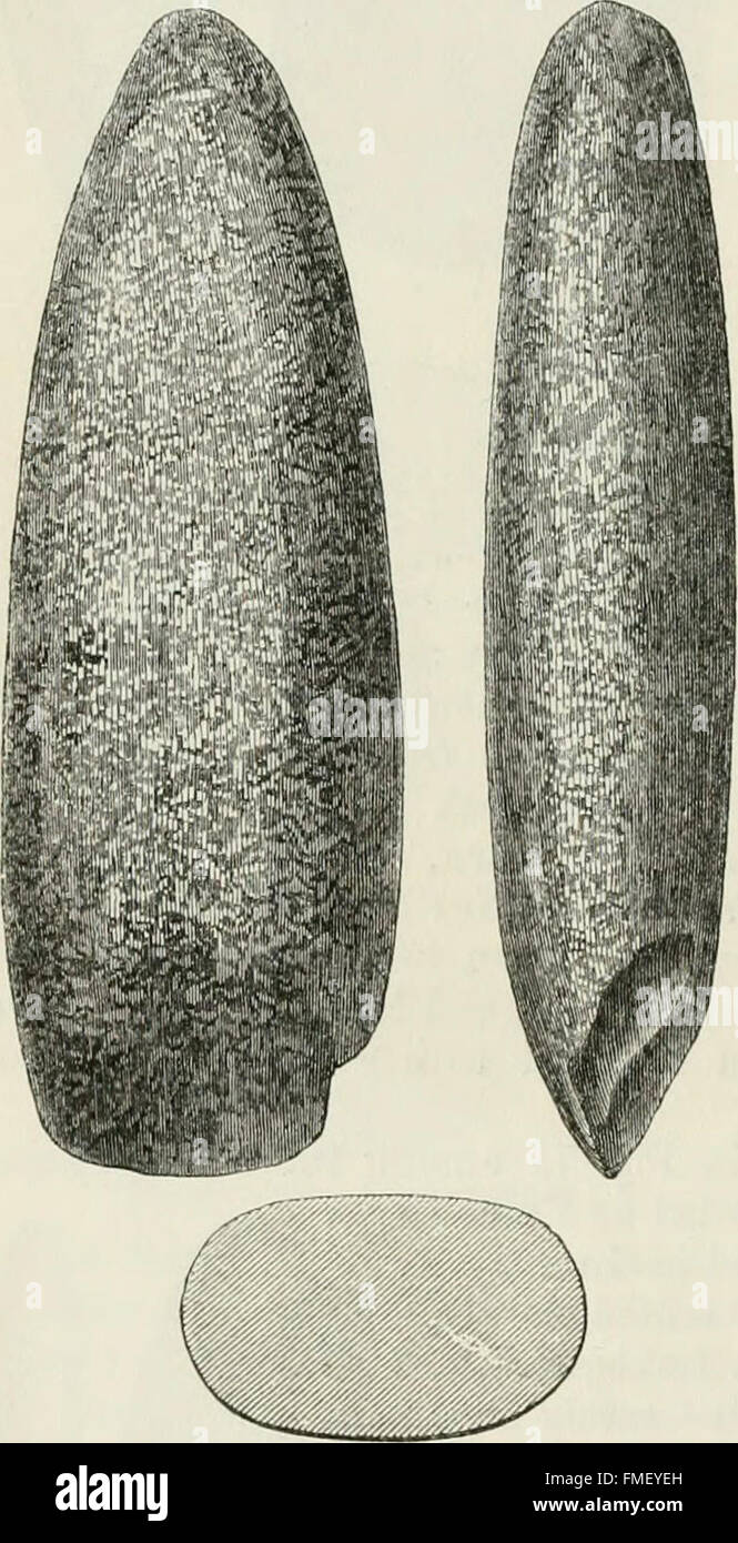 The 1872 work 'The Ancient Stone Implements, Weapons, and Ornaments of ...