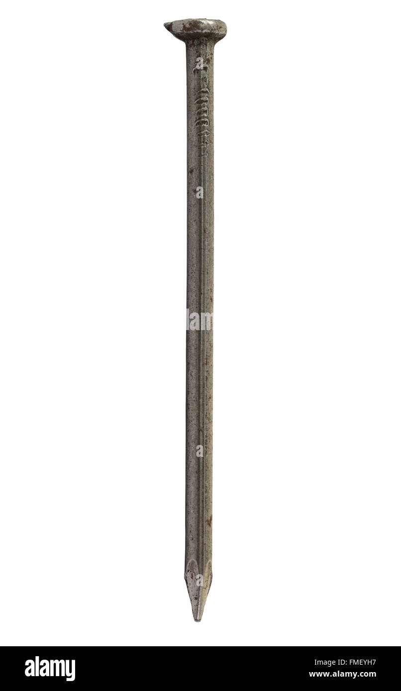 Single nail isolated on white background and clipping path Stock Photo ...