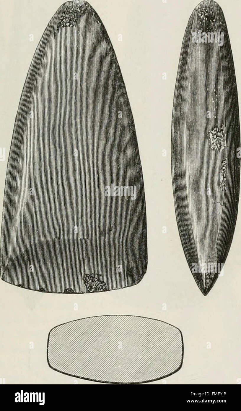 This 1872 work presents detailed descriptions and illustrations of ...