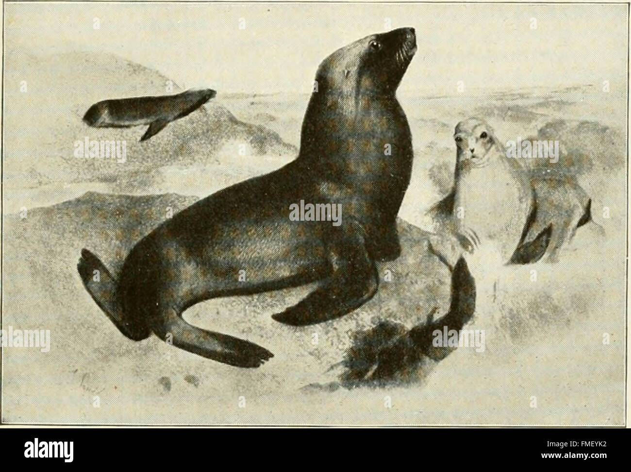 This 1909 work provides a comprehensive account of New Zealand's air ...