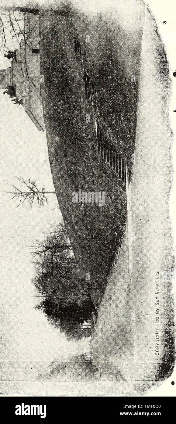 *The Assassination of Abraham Lincoln* (1874) examines the events ...