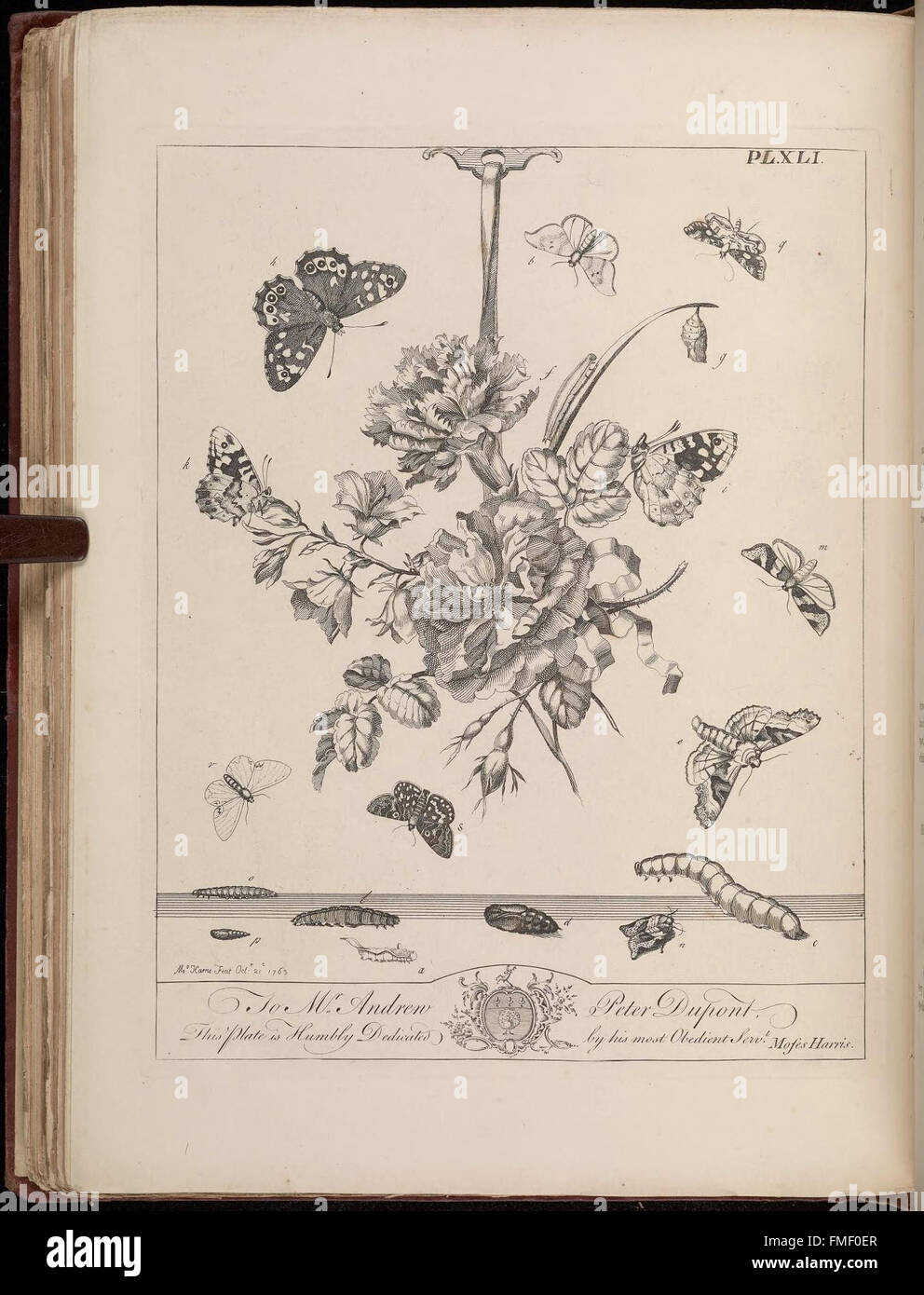 Xli font hi-res stock photography and images - Alamy