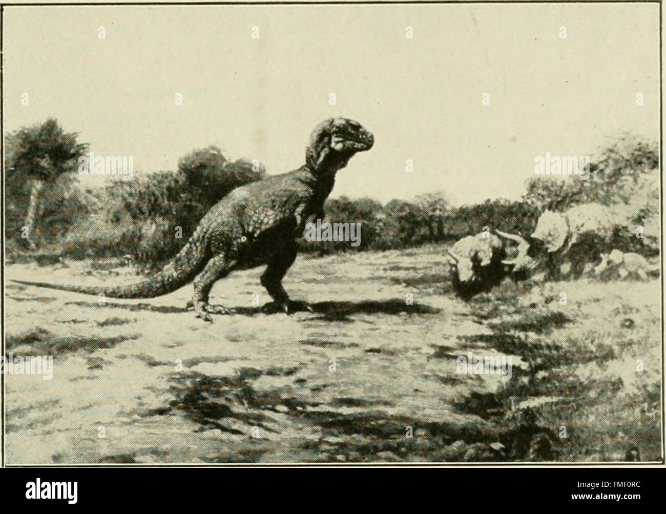 The 1921 edition of *The Australian Museum Magazine* covers a wide ...