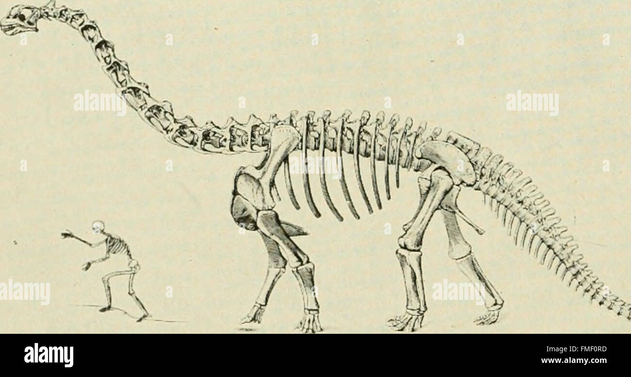 The 1921 edition of 'The Australian Museum Magazine' highlights new ...