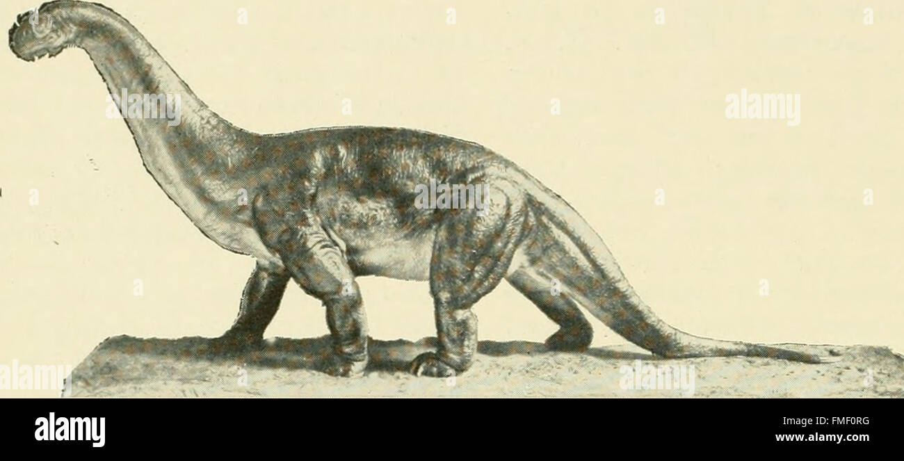 Aboriginal australian science hi-res stock photography and images - Alamy