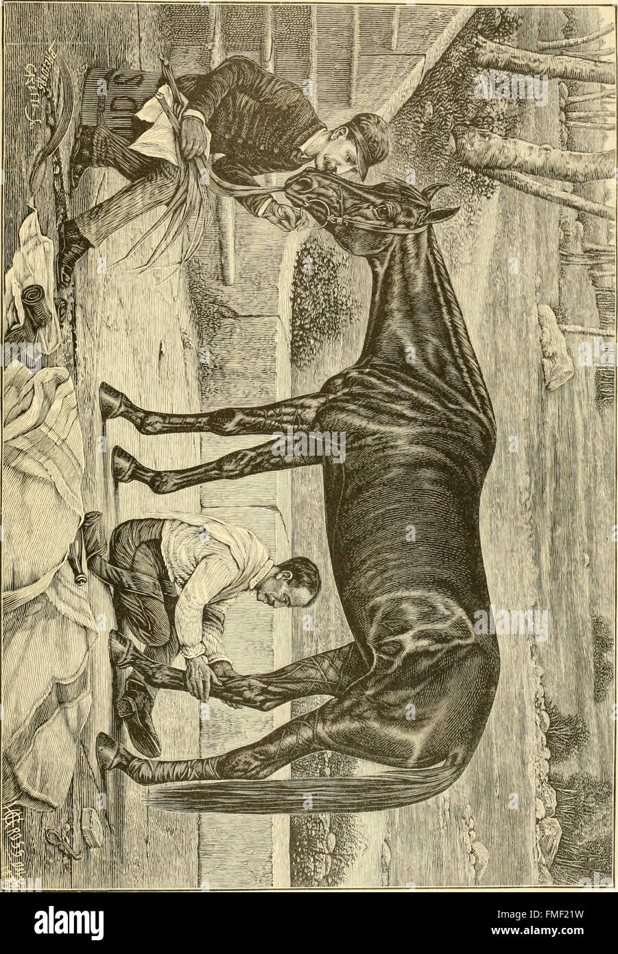 This work from 1887 examines the different breeds of livestock and the ...